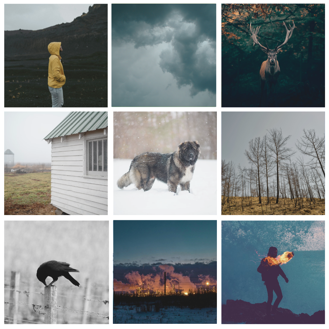 Books – Anne Kopas